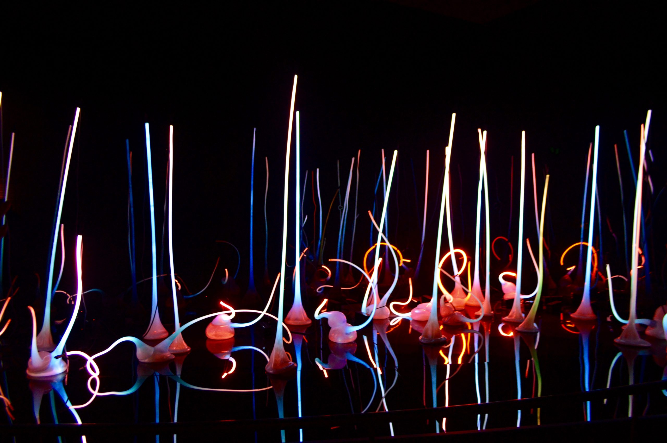 Photo Diary: Chihuly Museum in Seattle - round trip